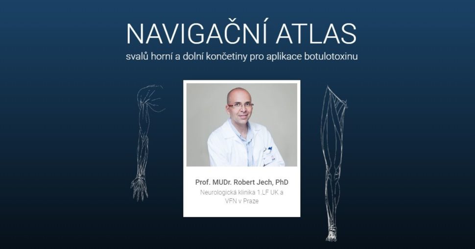 Navigation atlas of the upper and lower limb muscles for application of ...